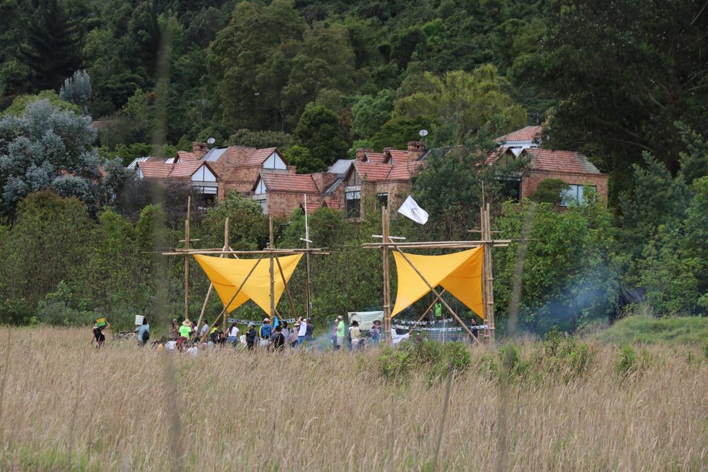 Las Perchas – Bichos de potreros [Reserva Thomas Van Der Hammen, Bogotá ...